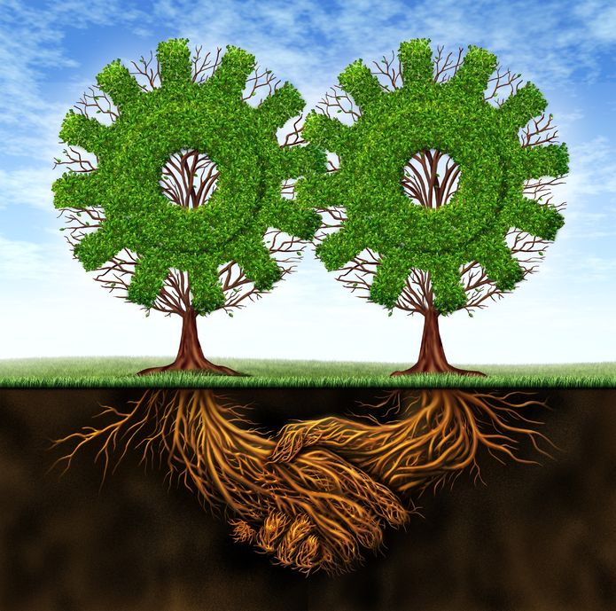 Introducing Evergreen Accounting in Fourways, JHB - Evergreen ...